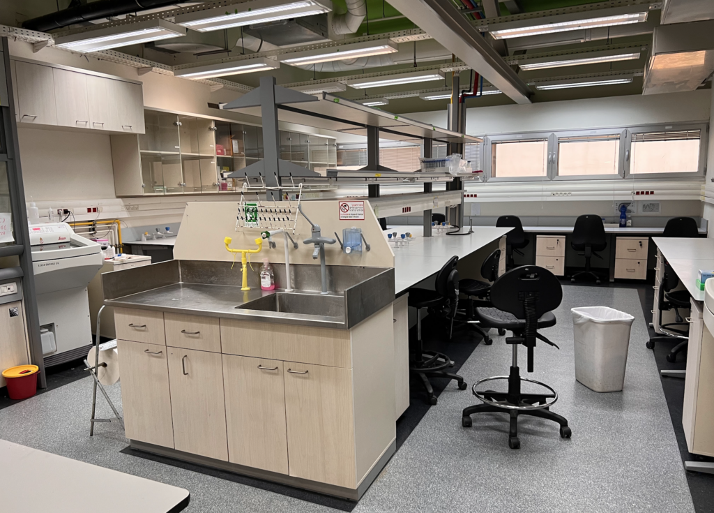 The Glasner Lab – The glasner lab, Glasner lab, Tumor immunology ...